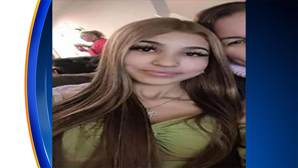 Cook County Crime Stoppers offers reward for information in shooting ...