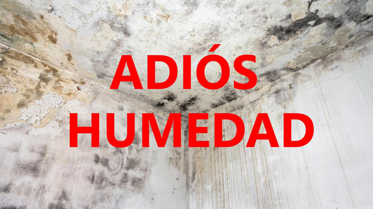 No es lavandina: el truco para quitar el moho y las manchas de humedad ...