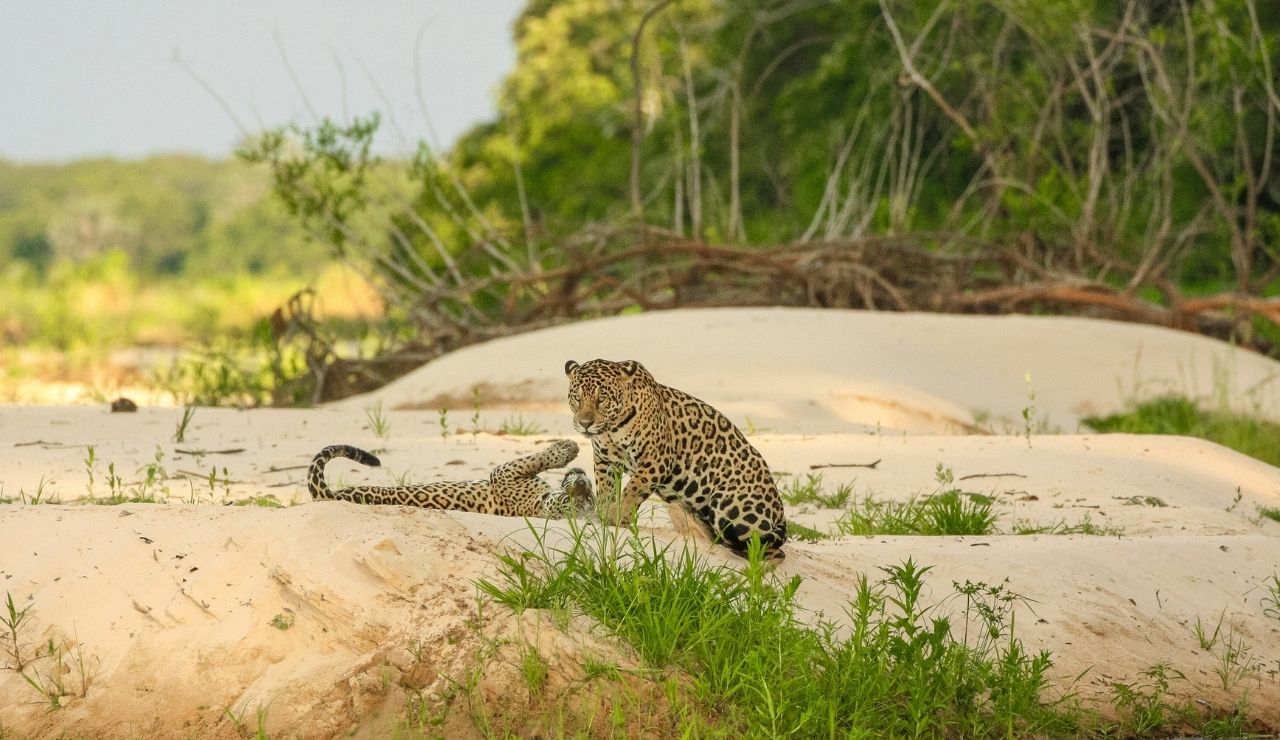 12 wild destinations packed with rare wildlife and untouched nature