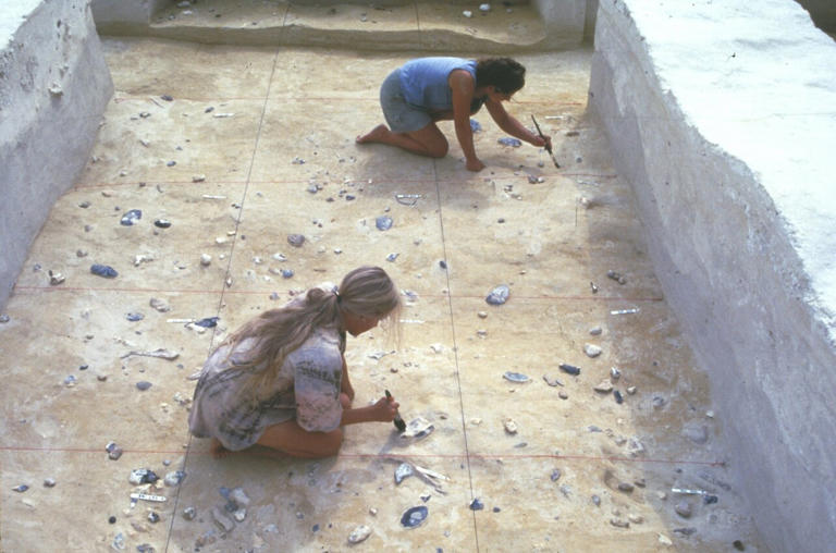 Prehistoric tool made from elephant bone is the oldest discovered in Europe