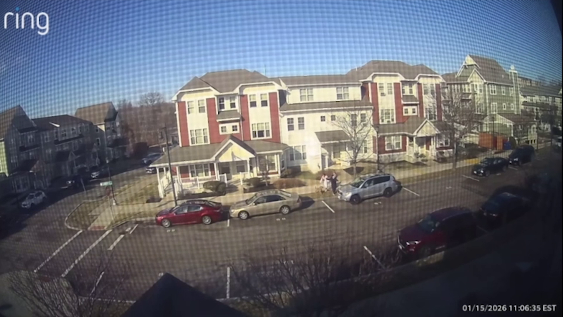 Video shows woman, small dog injured in Boston pit bull attack