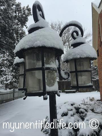 How to prepare for a winter freeze (and possible ice storm) in Middle ...