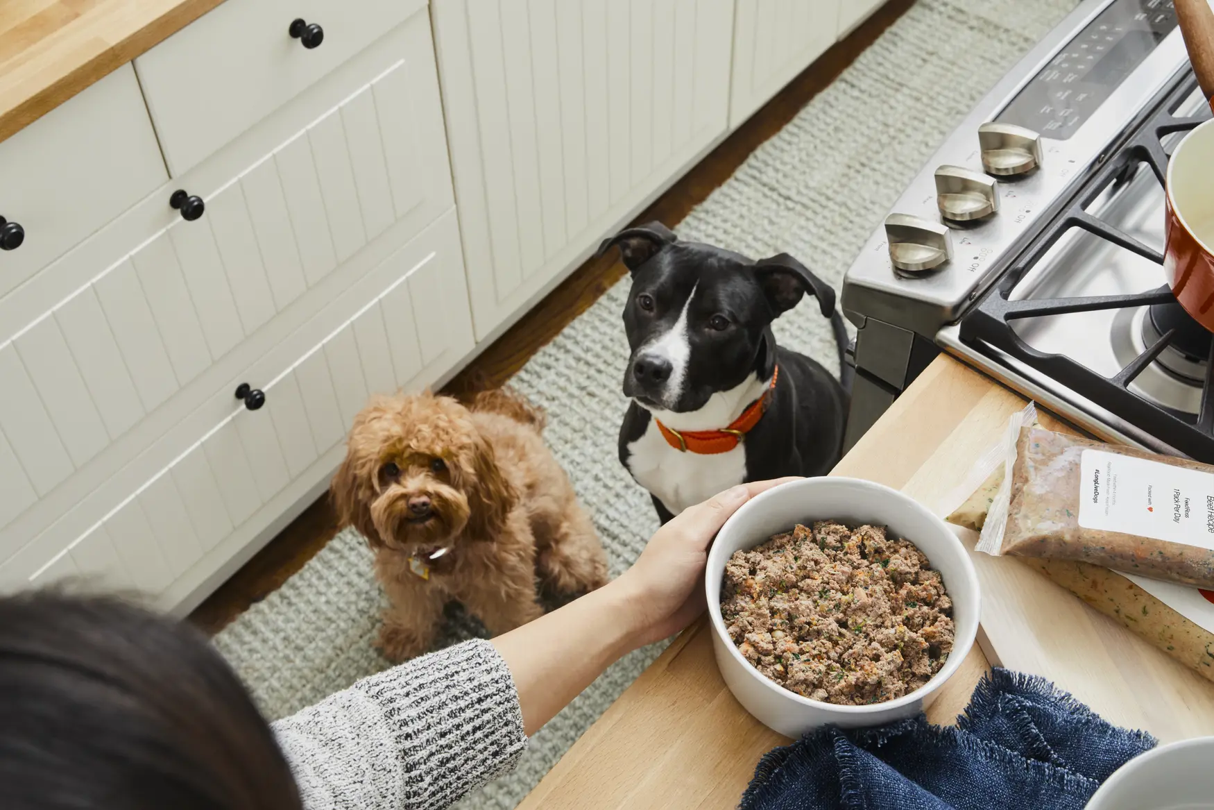 Farmers Dog 50% off first box deal for healthier dog meals