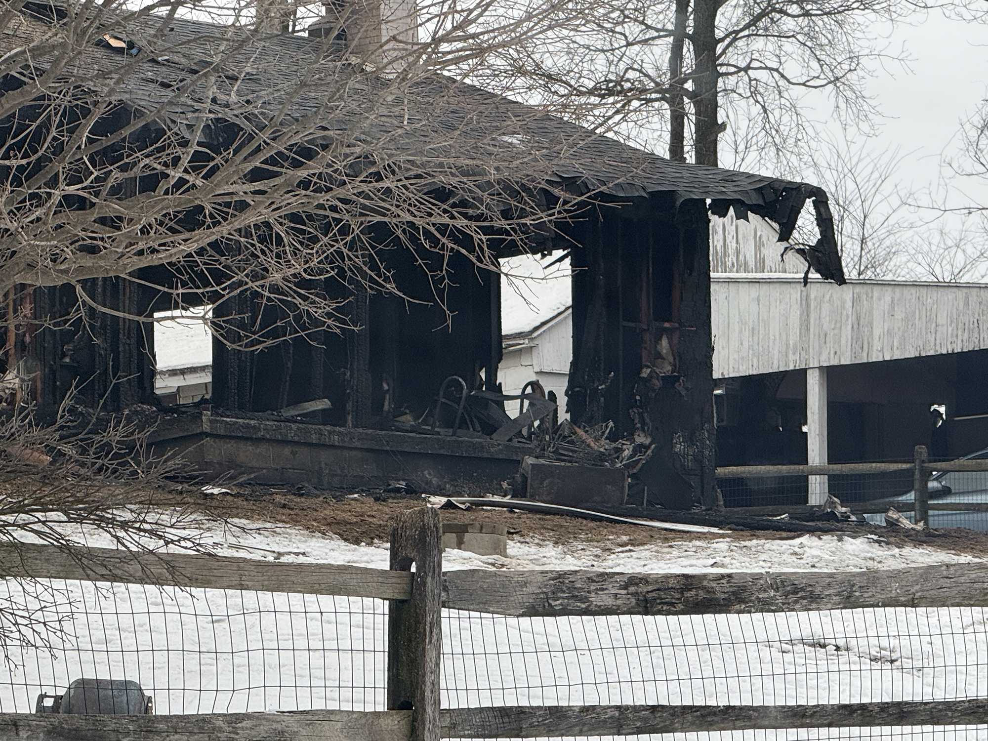Dogs rescued from burning home