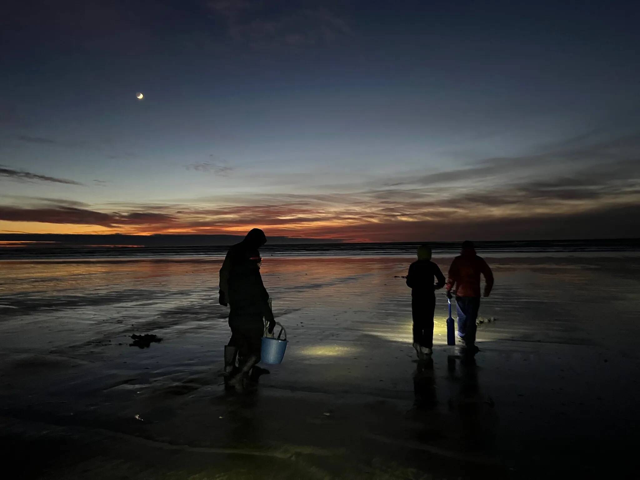 WDFW approves coastal razor clam digs beginning Jan. 29