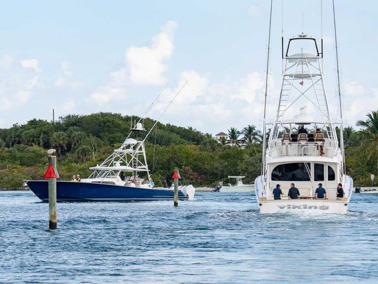 You're invited: Viking VIP event