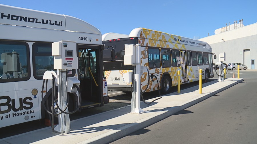 Bringing the 'fun' back to Hawaii's public transportation | Unscripted