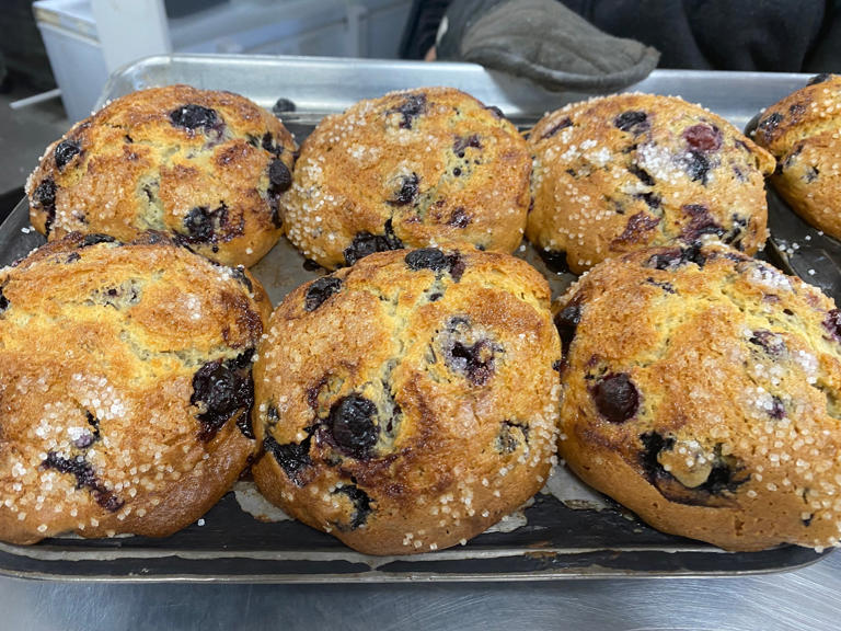 Beloved Mass. bakery and cafe opening 7th location in coming months