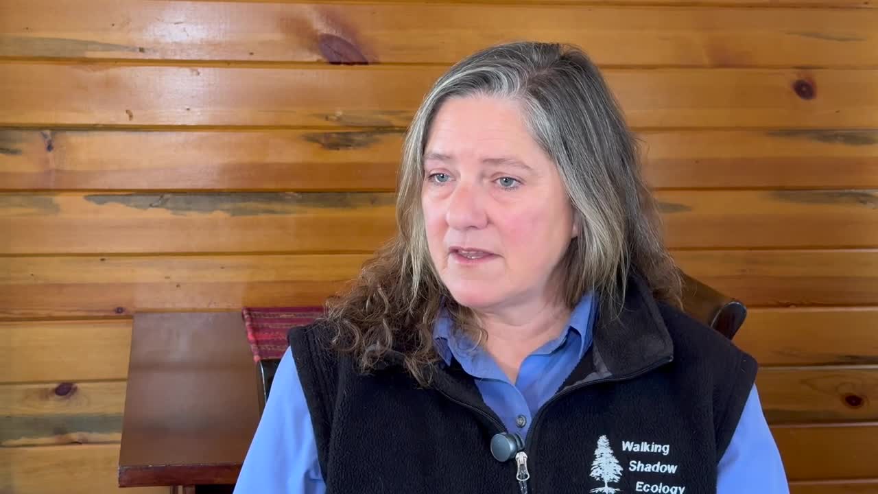 Full interview: Ashea Mills, Walking Shadow Ecology Tours