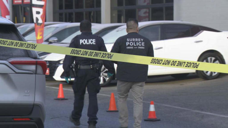 RCMP head of BC extortion task force sorry for challenging term 'crisis'