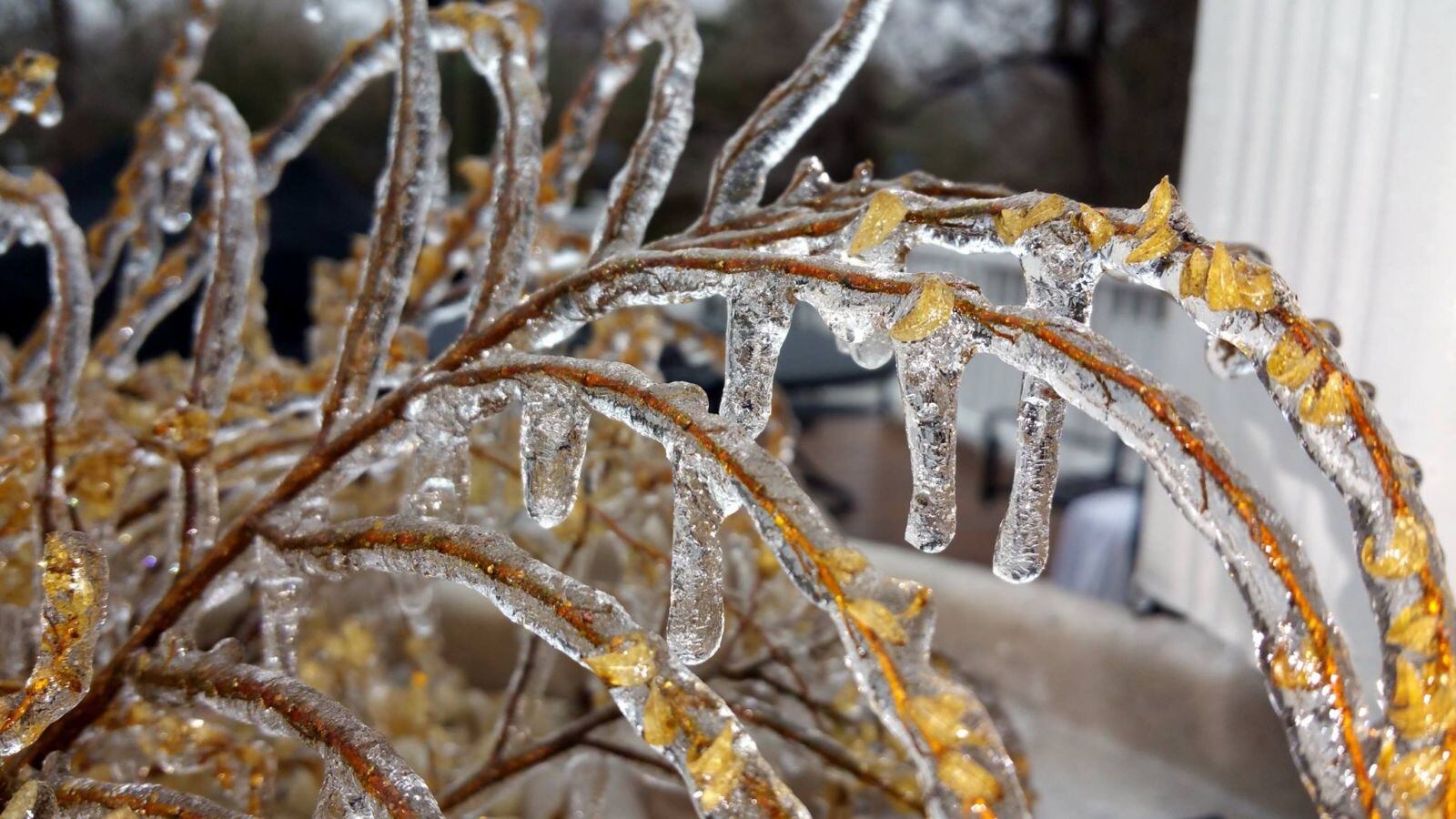 First alert: Taking a look back at ice storm history across our area