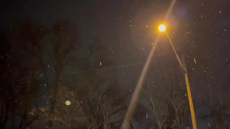 Metro Social Services announces plans for meal delivery, senior welfare ...