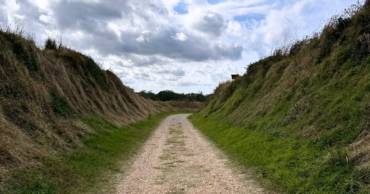 Don't Attempt This One Hike in Mississippi Unless You're Up for a Real ...