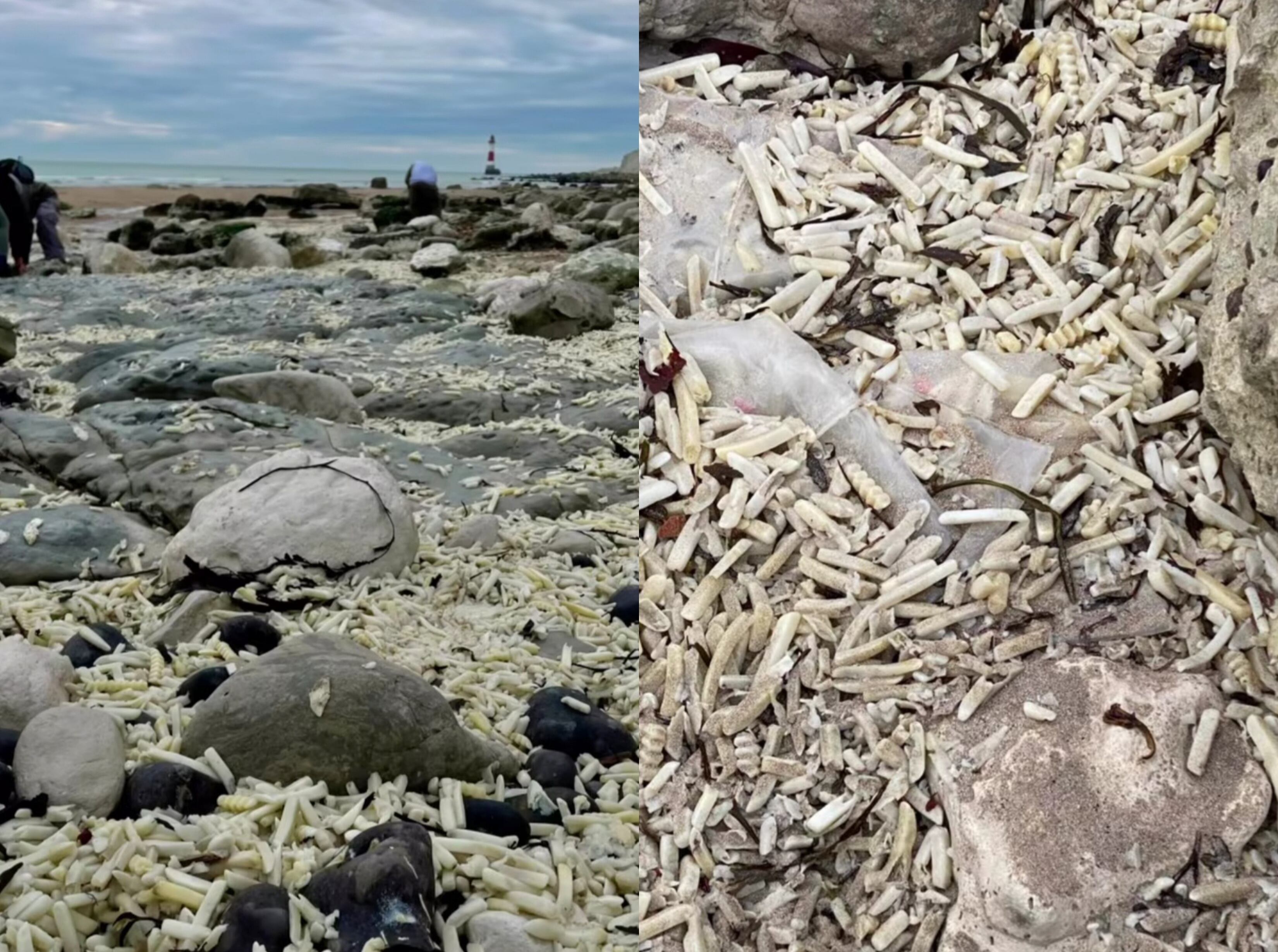 Eastbourne beach inundated with uncooked fries, debris