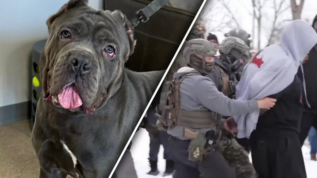 Minnesota animal rescue helping pets left behind by ICE detainees