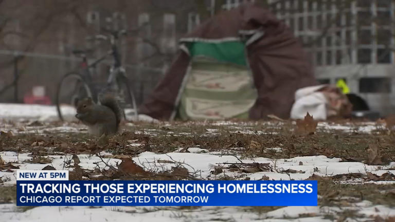 Chicago organization says thousands more homeless in 2024 than city ...