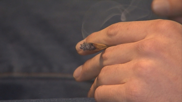 Florida Senate advances bill looking to ban smoking marijuana in public ...