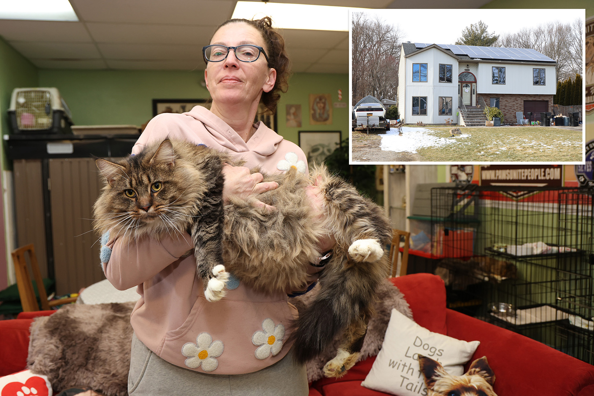 100 cats rescued from breeder’s 'deplorable' urine-drenched Long Island ...