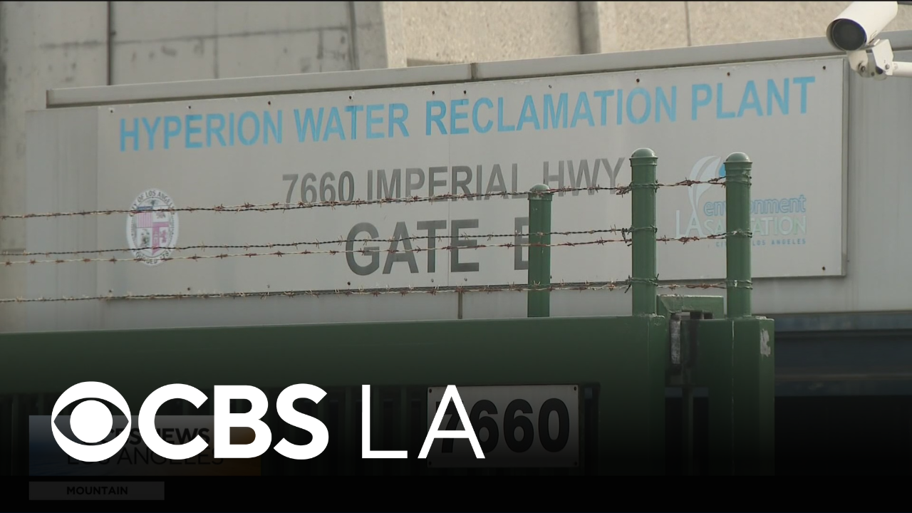 Vector control officials lay traps as mosquito infestation continues to ...