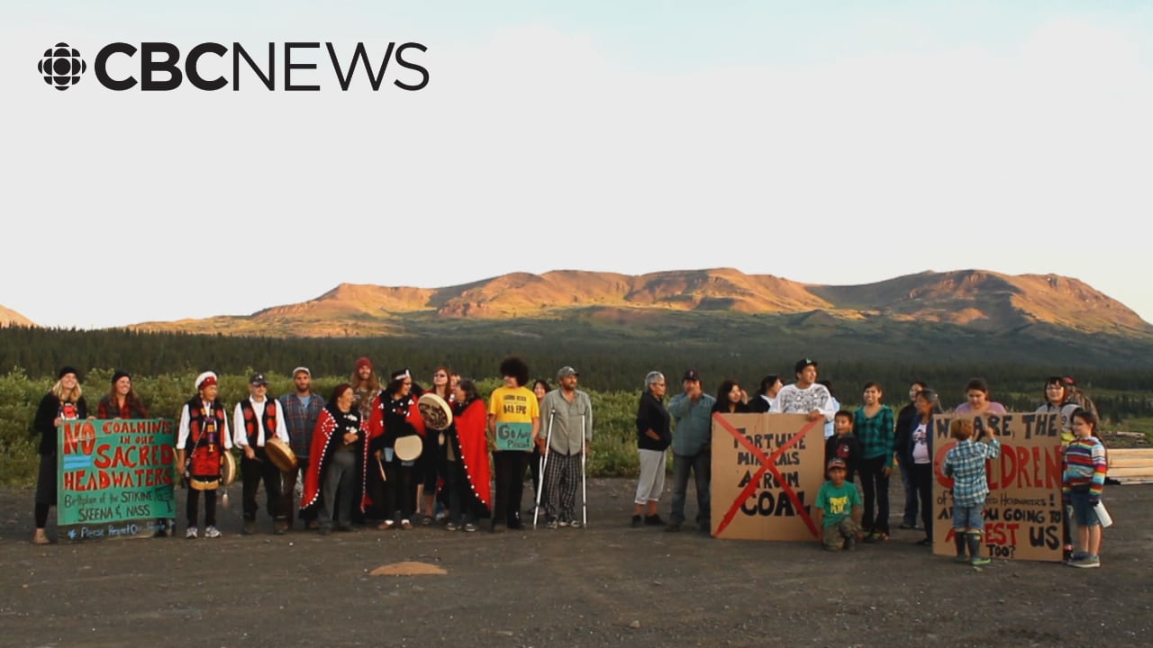 BC will revise DRIPA legislation to scale back court power over ...