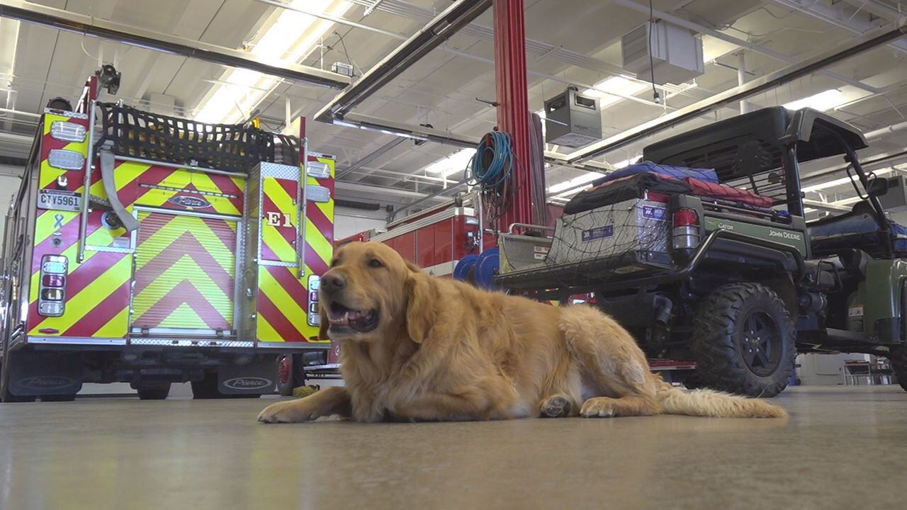 Rapid City Fire Department ‘jails’ Deputy Dexter to raise funds for ...