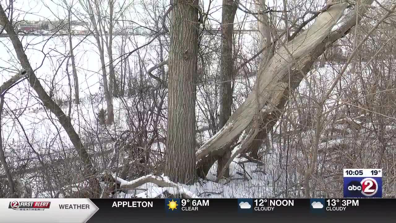 Wisconsin DNR responds to viral posts on 'exploding trees'