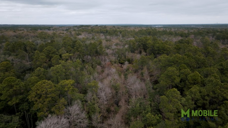 Mobile City Council approves Rabbit Creek conservation easement