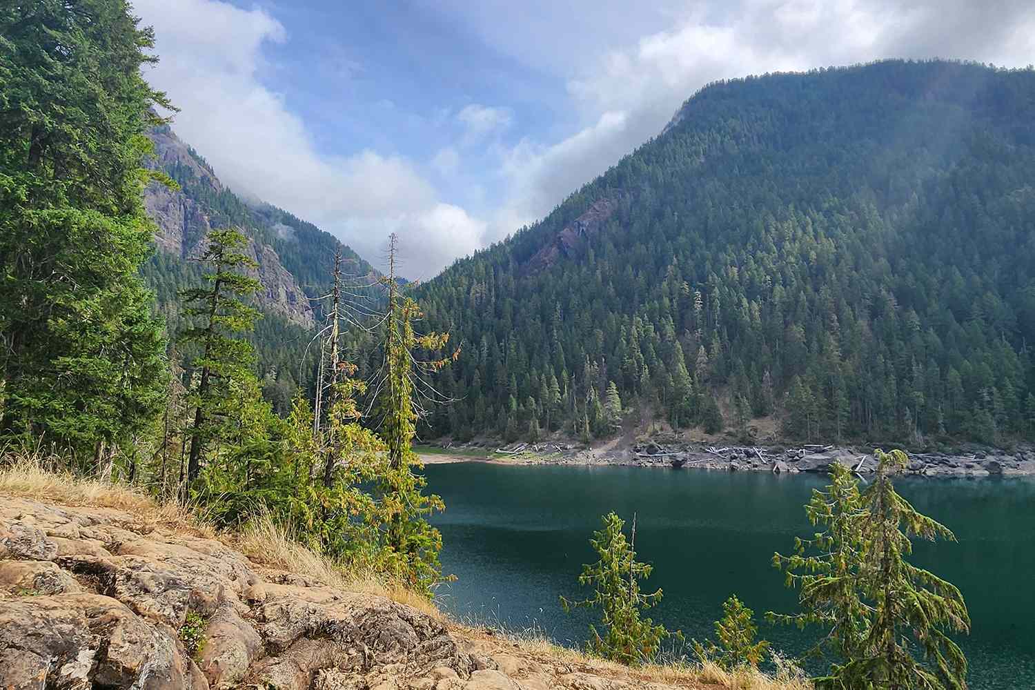 Two hikers dead after being struck by a falling tree on well-known ...