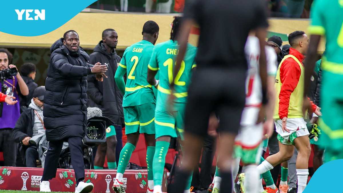 Pape Thiaw apologises after AFCON final chaos as Senegal crowned ...