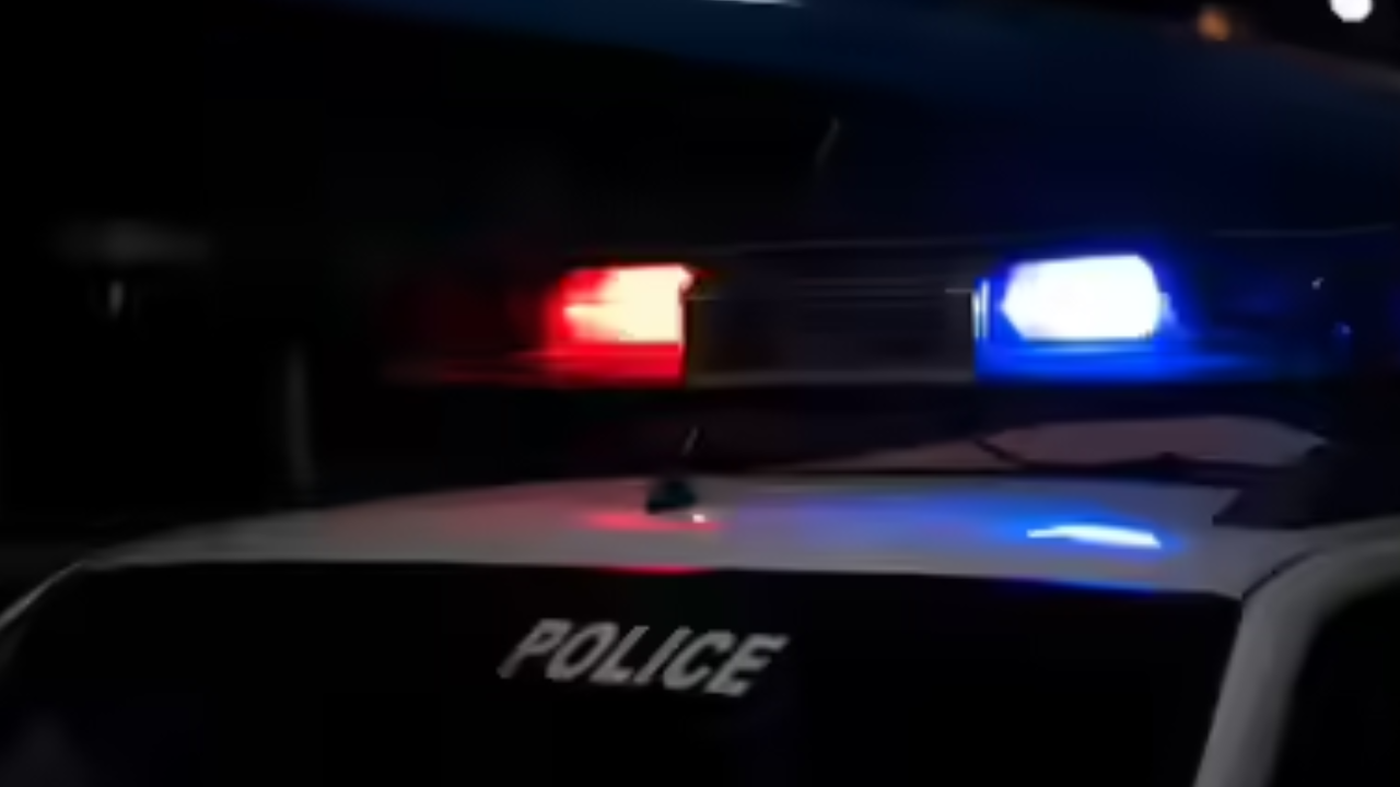 Mumbai: Two priests of Mt Mary Church booked for theft, criminal ...