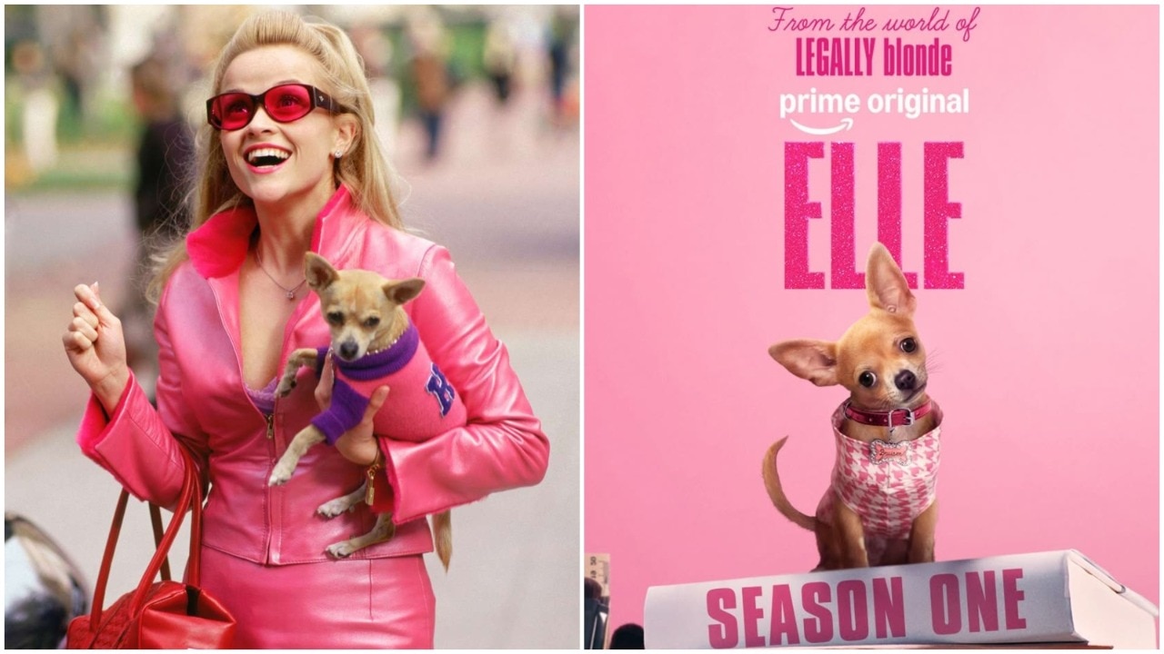 Elle: Reese Witherspoon's Legally Blonde prequel to release in July