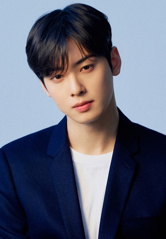 Cha Eun-woo denies 20 bln won tax evasion allegations, vows to clarify ...