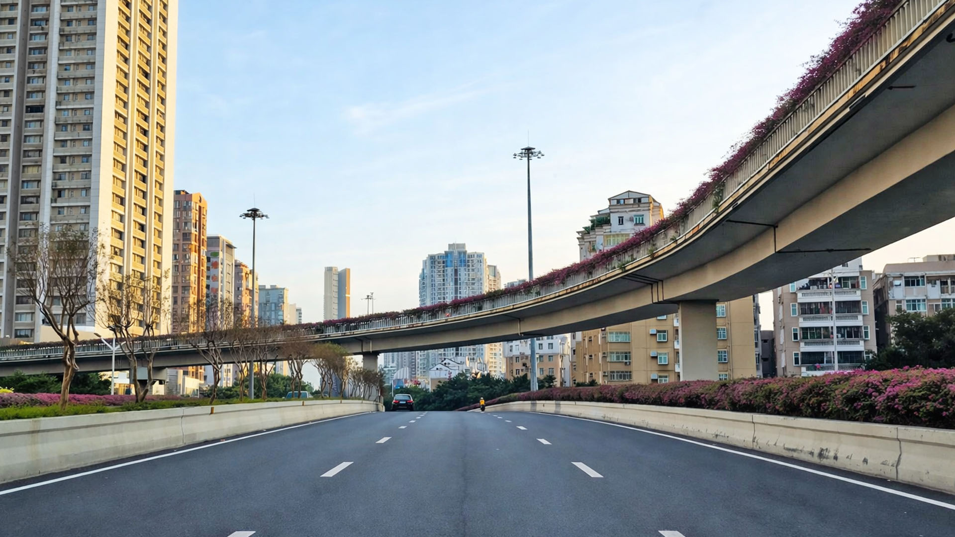 Shenzhen flyover wrapped in pink flowers