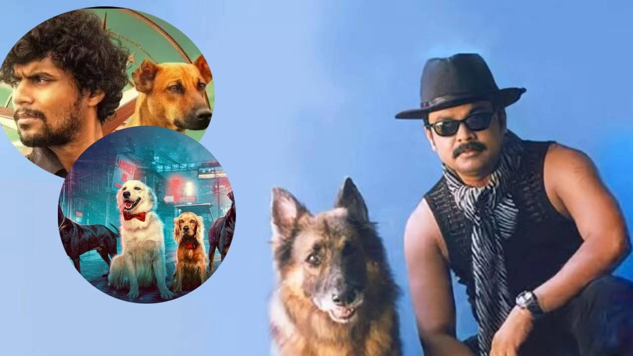 From 'CID Moosa' to 'Eko': Stories told through paws and wings