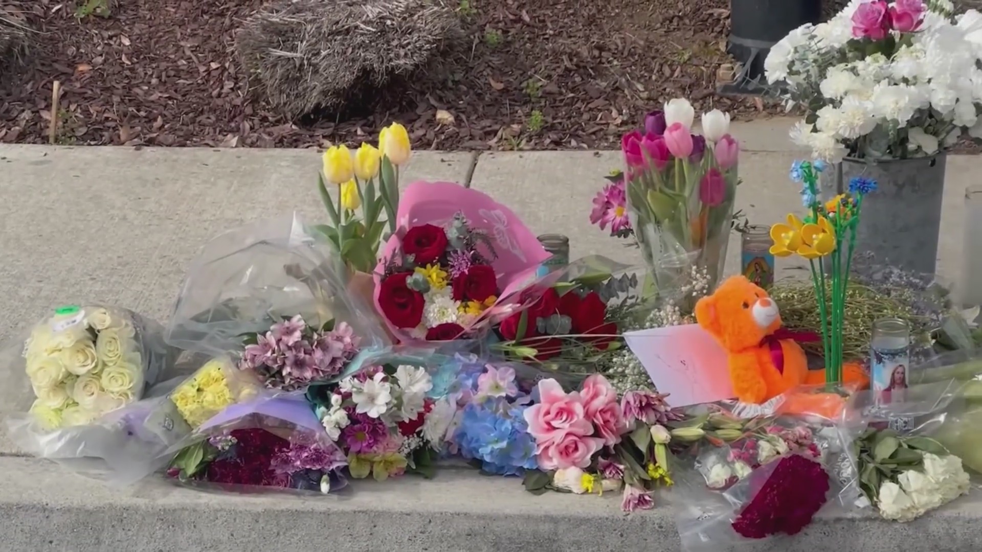 Gilroy residents urge action after deadly accident near school