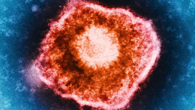 Shingles vaccine linked to slower biological aging, study finds