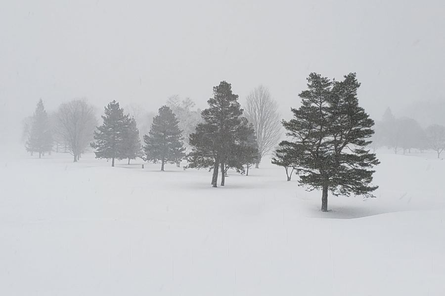 After lake snow, arctic blast comes a Nor’easter!