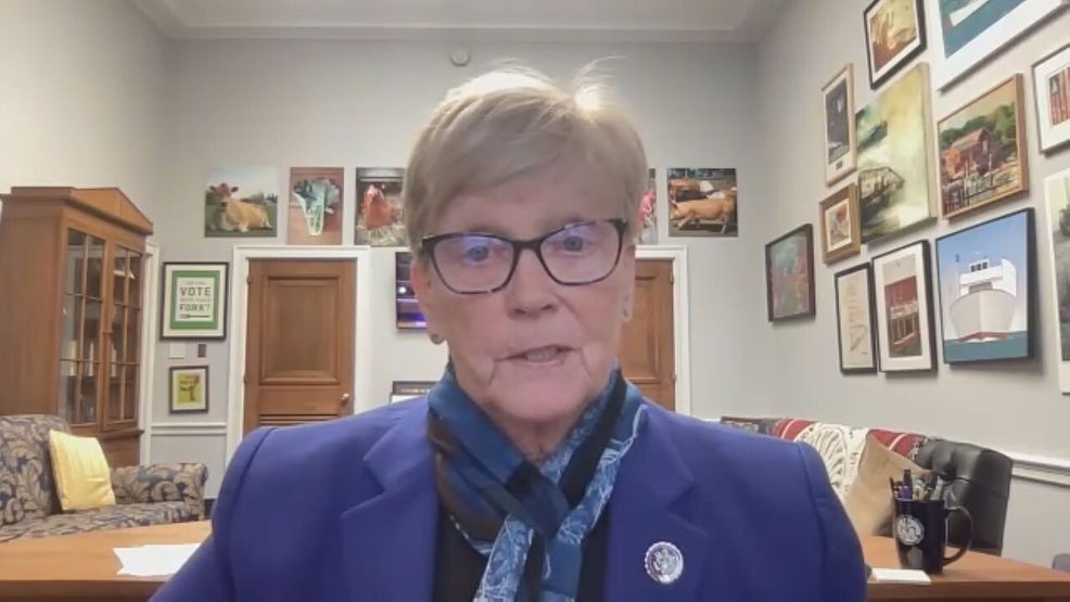 Rep. Pingree shares video of ICE agent calling woman 'domestic ...