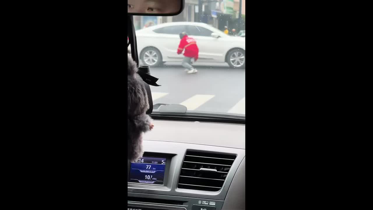 Motorists stop traffic to rescue kitten trapped under car in Jiangsu, China