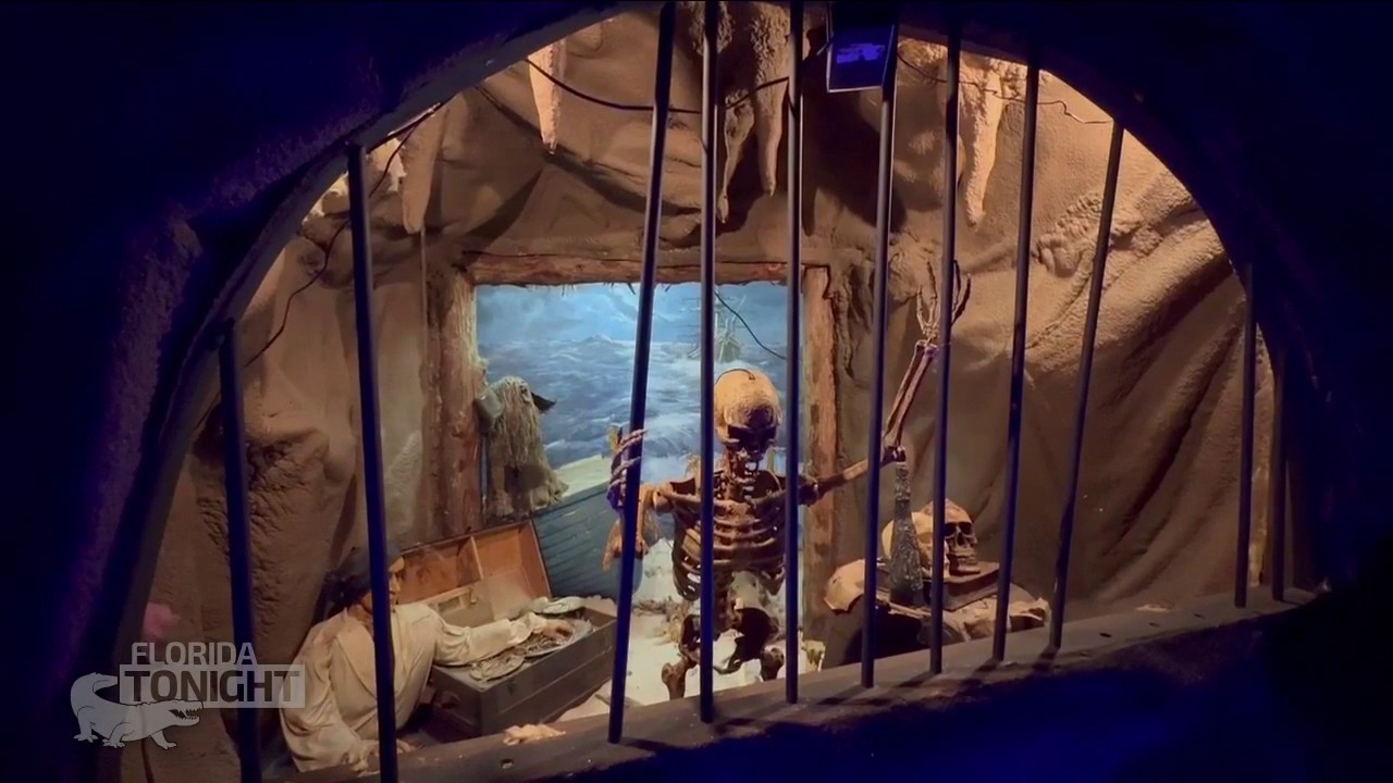 Florida home with pirate cave, 22 themed rooms goes under contract