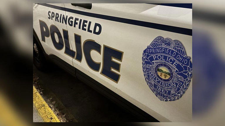 20 arrested during proactive criminal, traffic enforcement operation in ...