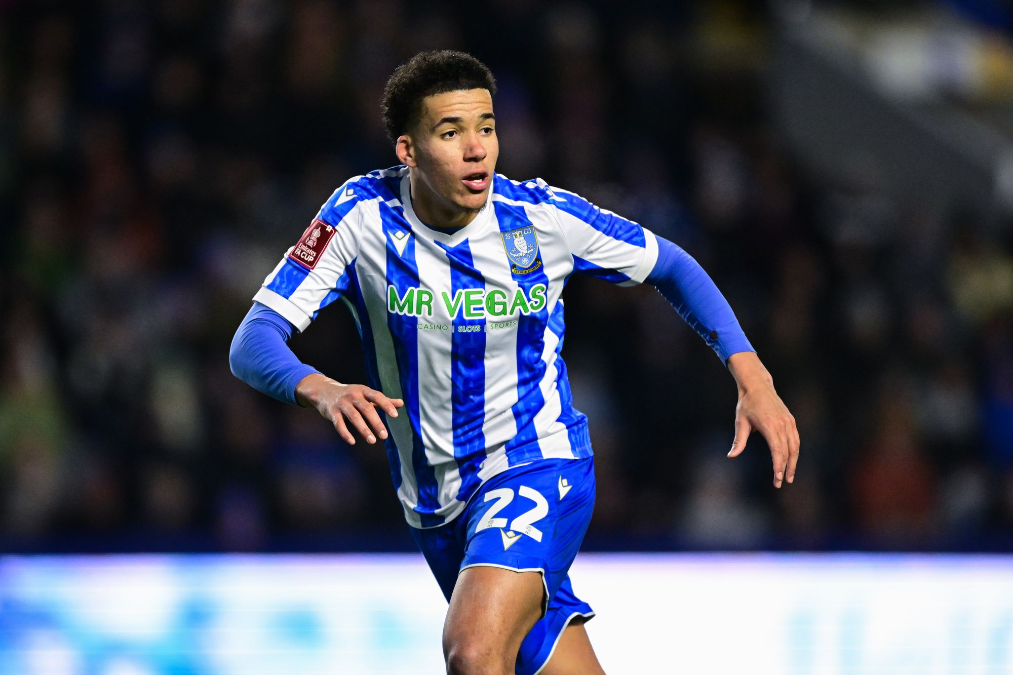 'Wow' - Sheffield Wednesday boss Henrik Pedersen makes prediction about ...