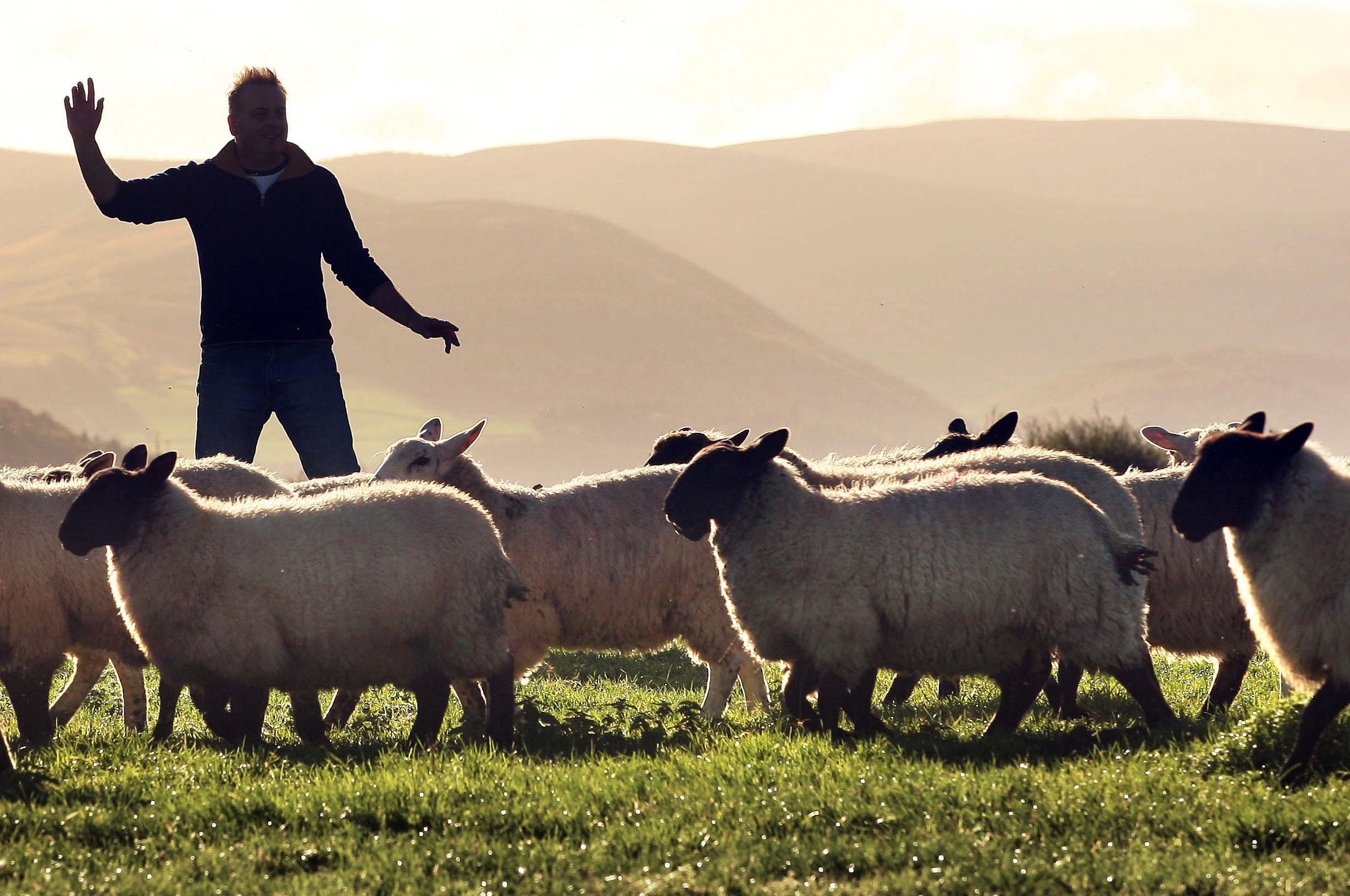 A budget of stability for farming - but what about delivery?