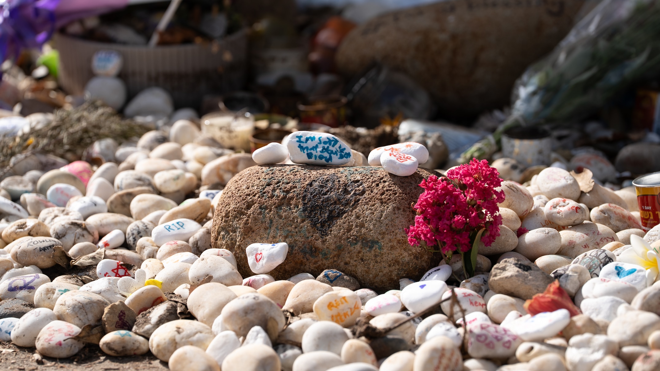 In pictures: The National Day of Mourning for Bondi Beach terrorist attack