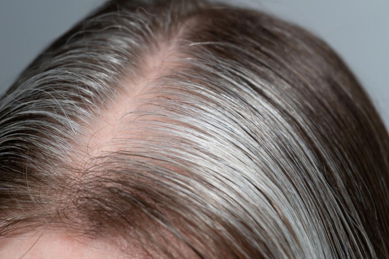 De grijze haren bijbel: ontstaan, verven, kapsels en haarverzorging