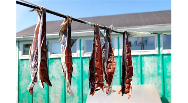 Hra o Grónsko: Co o něm vlastně víte?