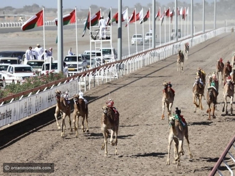 Al Bashayer camel racing to kick off this February