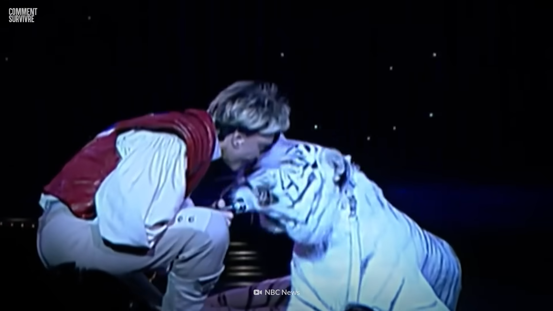 Pourquoi frapper le tigre avec un micro avait aggravé la situation