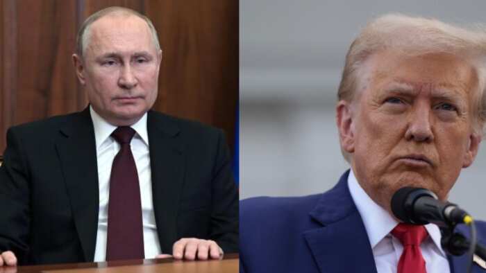 Putin responds to Trump’s Peace Council invite, says Greenland issue ...