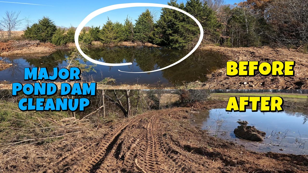 Missouri Ozarks pond transformation: Pond dam cleared